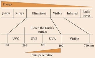 Free radicals skin aging, free radicals insult implicates in 4 major ...